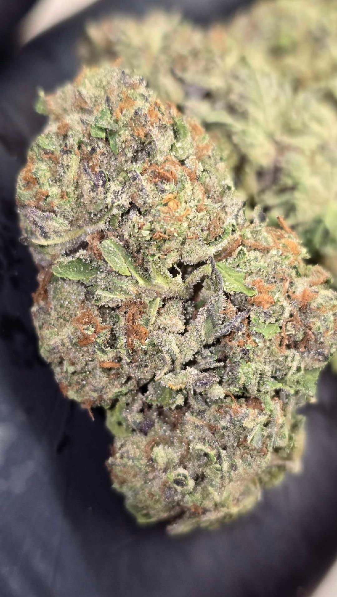 Cali Cookies THCA Hemp Flower | South Holston Hemp Co.